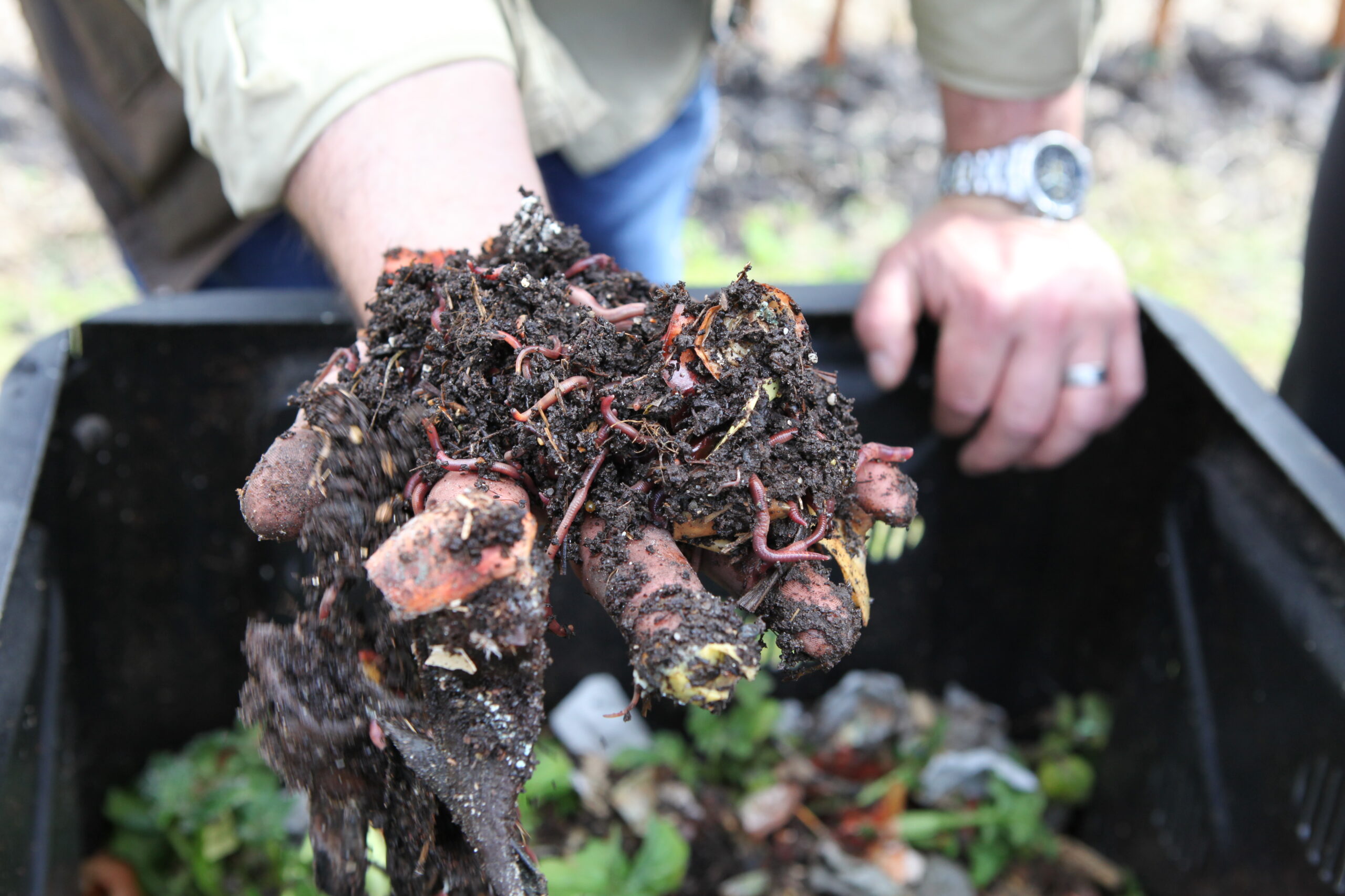 Soil - The Sprout Hub